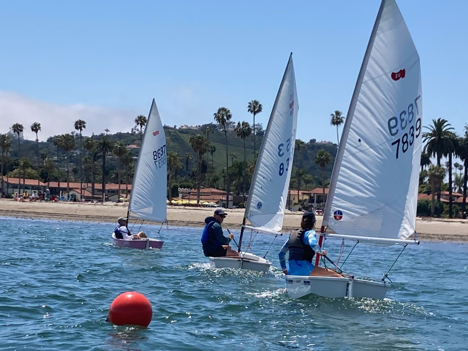 Home Page « Santa Barbara Sea Shell Association